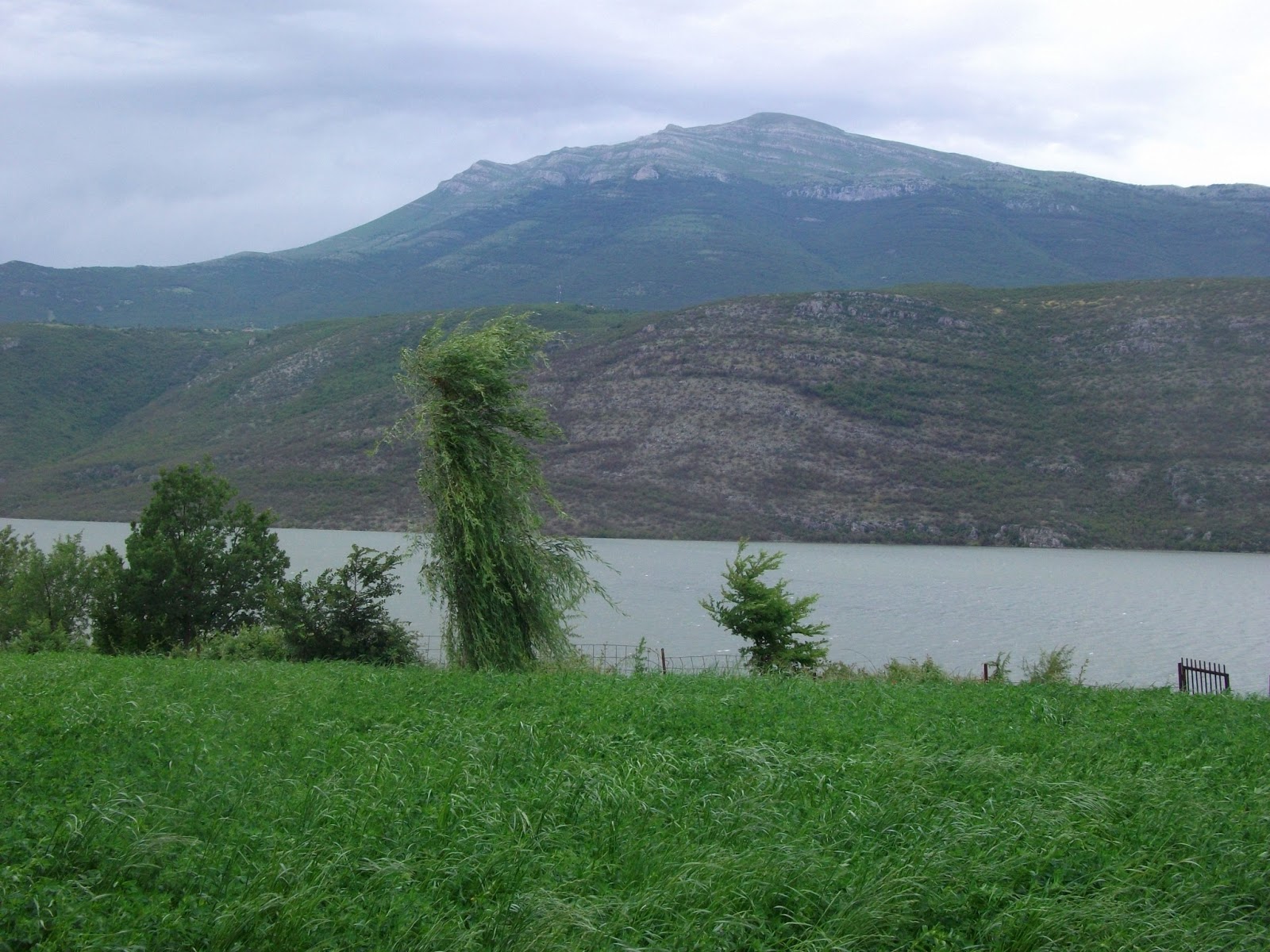 Rivertrain: The League of Prizren – Past and Present