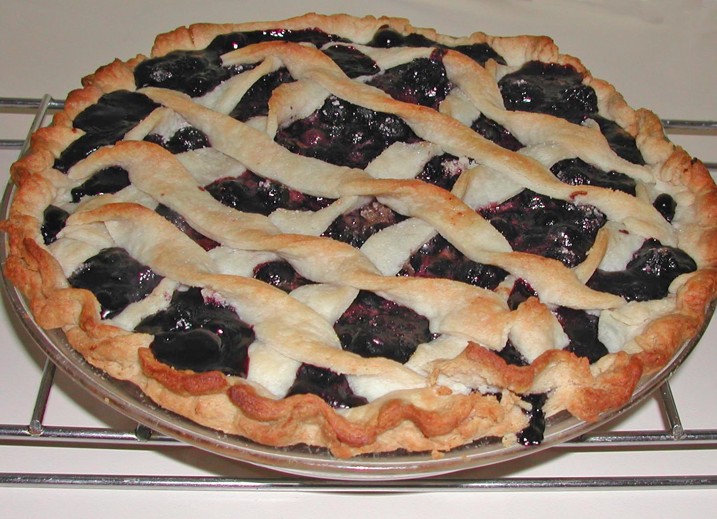 The Iowa Housewife: Blueberry Pie