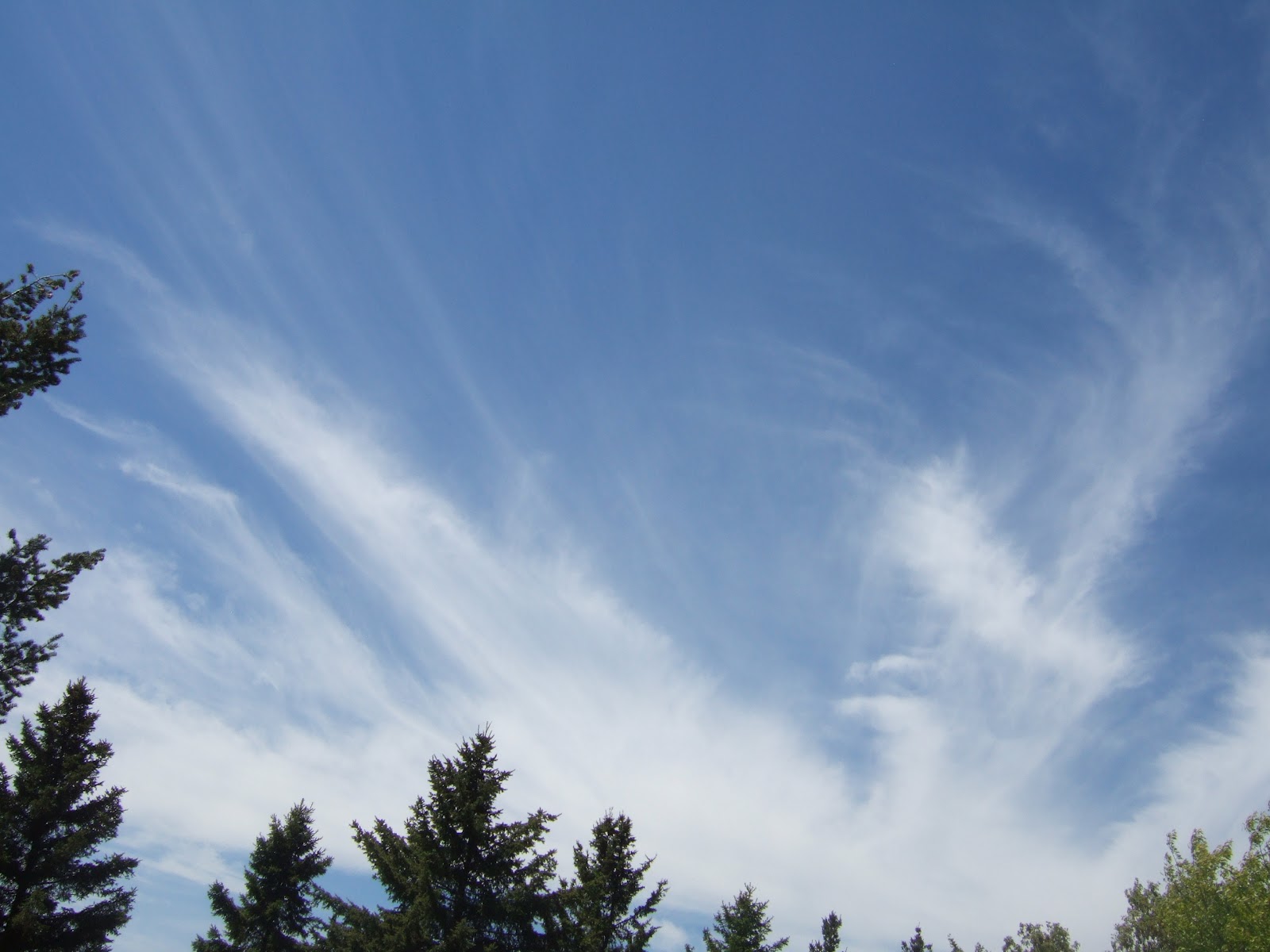 Galactic awakening and healing: 2012 PHENOMENA