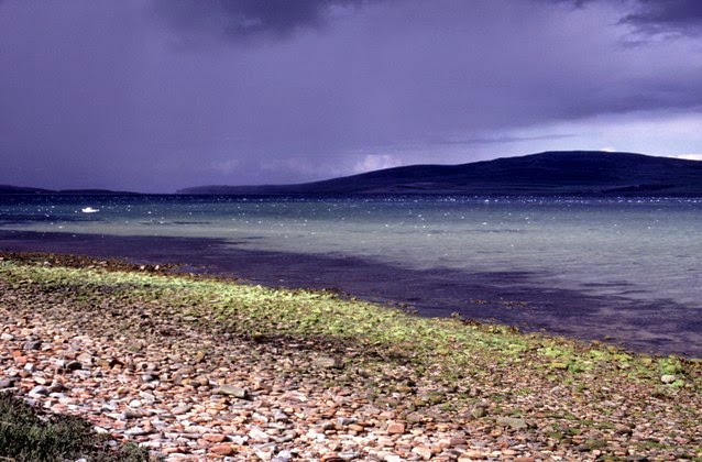 Aves en azul y verde: Orkney Islands (Islas Orcadas), Reino Unido