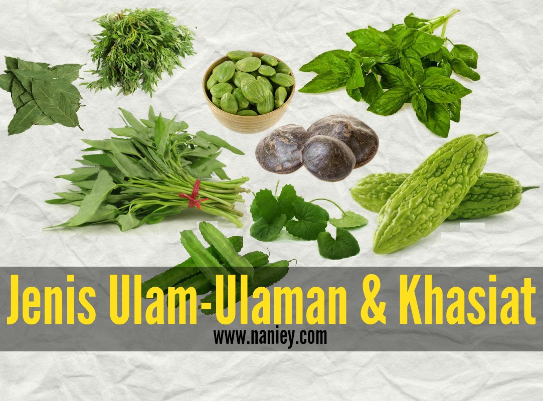 Khasiat Ulam Raja Untuk Buah Pinggang