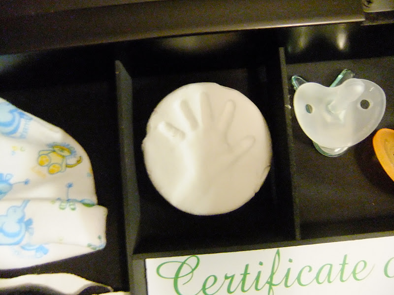 Parenting the Preemie Pope: NICU Shadow Box