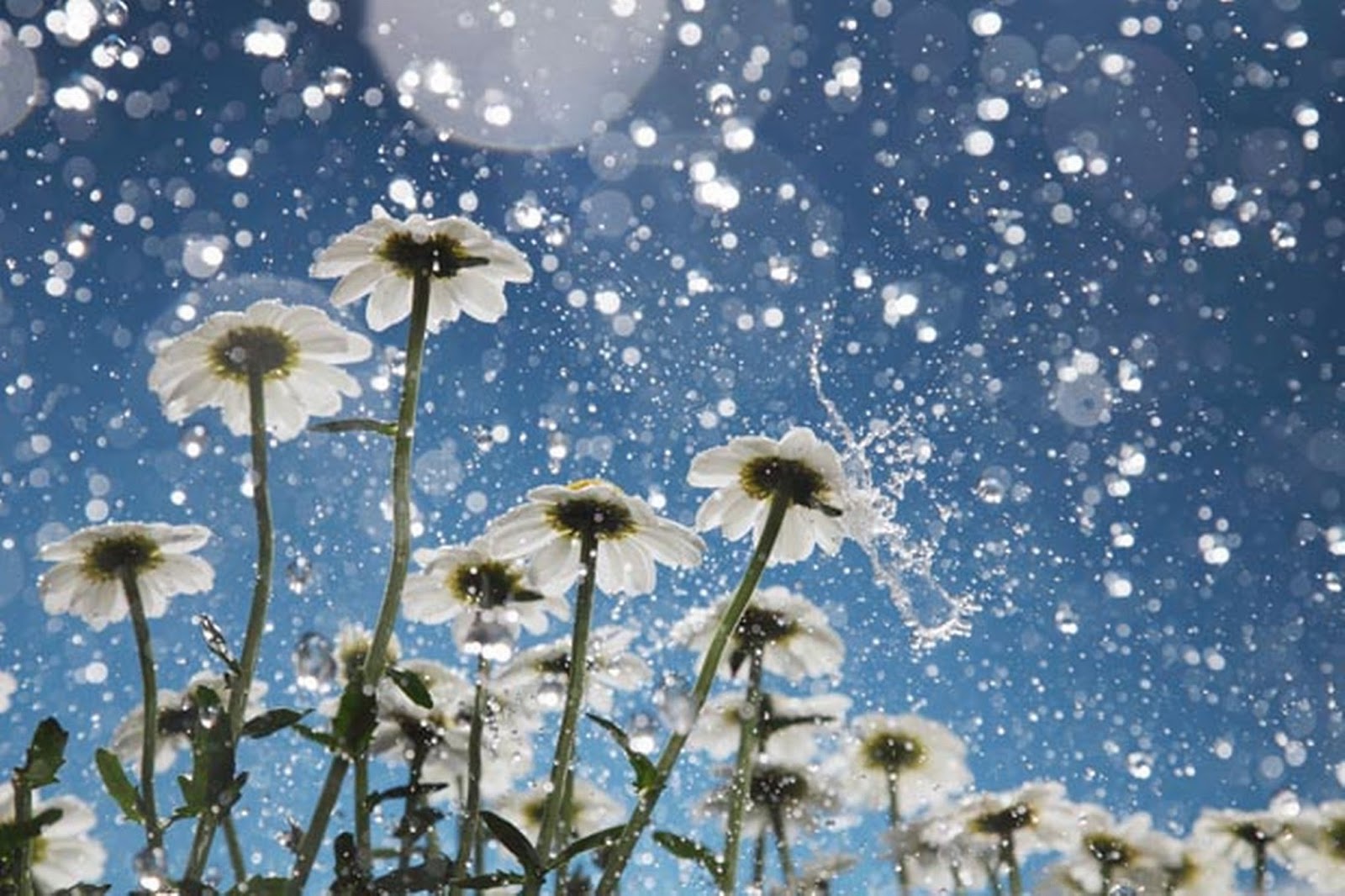 gambar: Gambar Hujan Lengkap