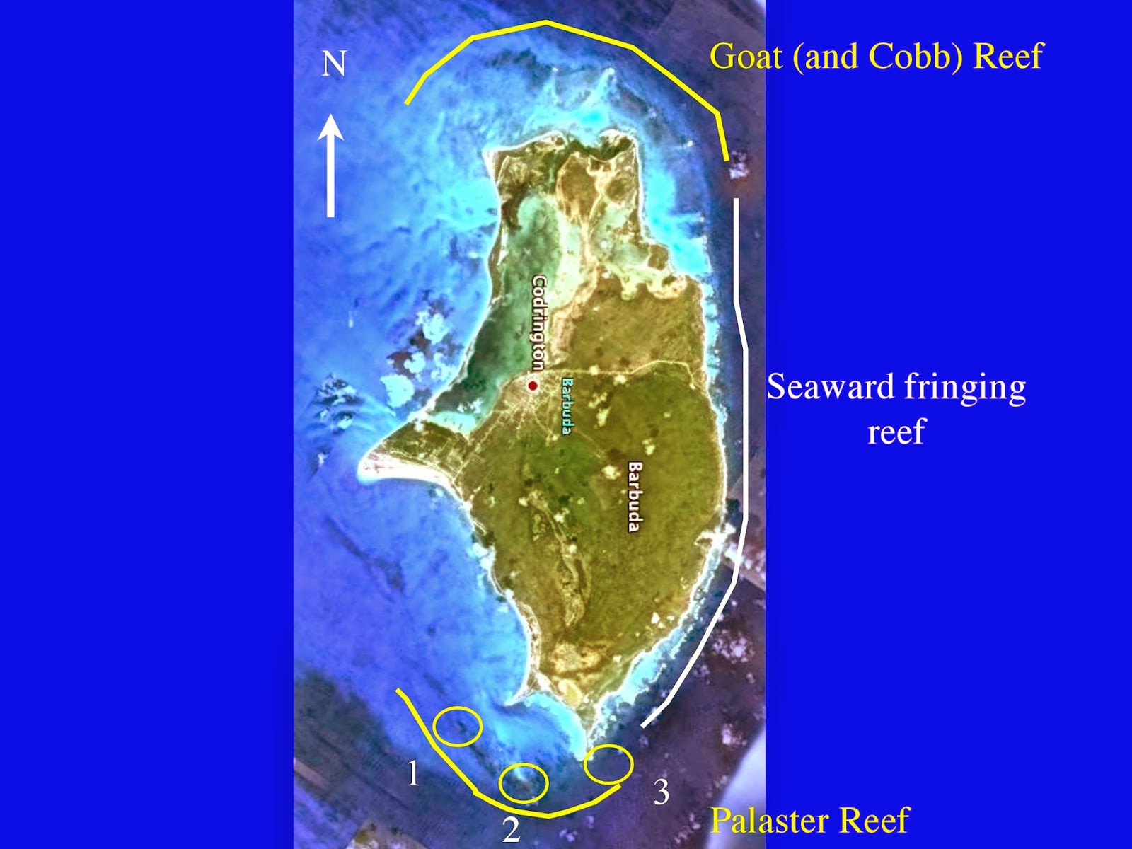 Antilles 2013 - 2014: The Island of Barbuda – miles from Antigua ...