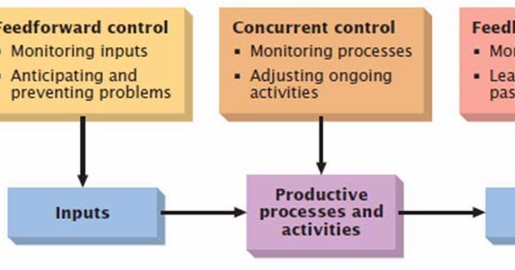 Principle of Management: Fundamentals of Organizational Control