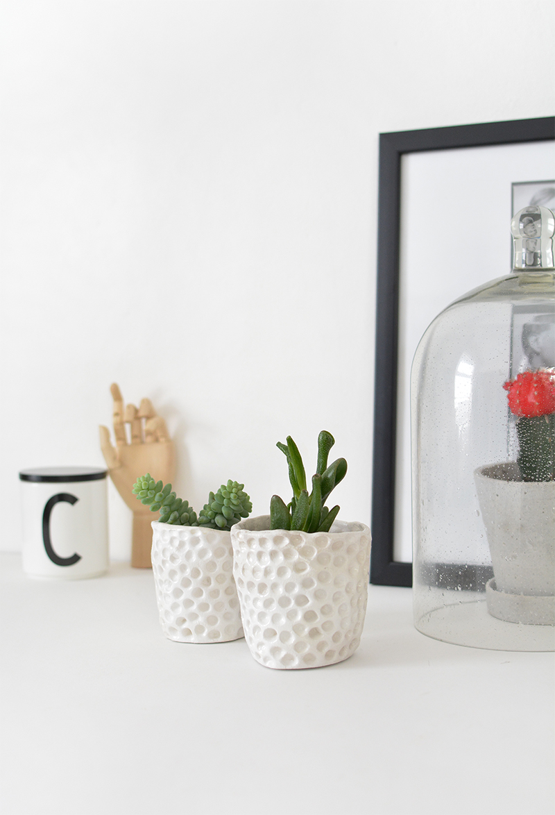 DIY mini succulent planters — Caroline Burke | Burkatron