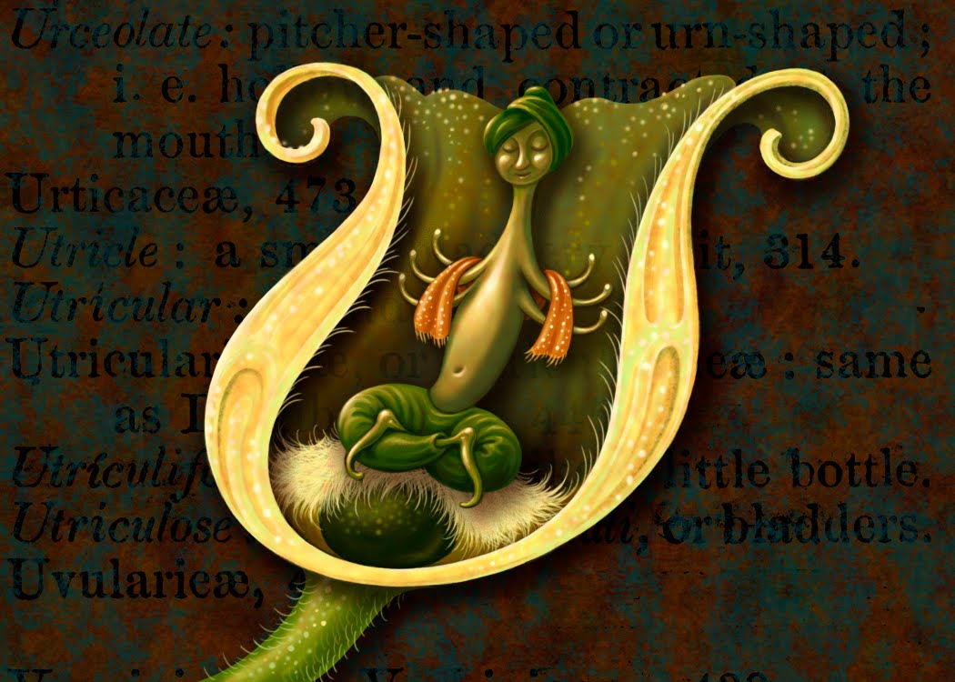 Oddments & Curiosities: Urceolate