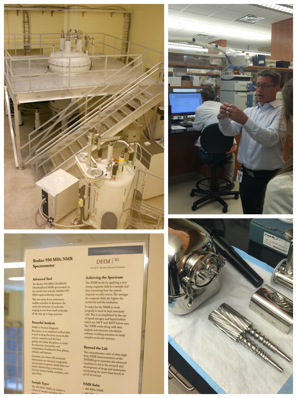 Authentic Suburban Gourmet: The Modern Wedge Salad + "Dole Fresh Fest ...