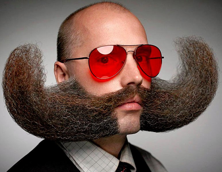 The Flying Tortoise: The Best Of The World's Beard And Moustache Art ...