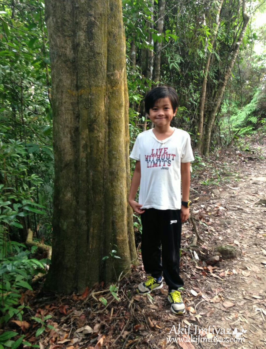 Mendaki Bukit Mak Dayang Kemaman