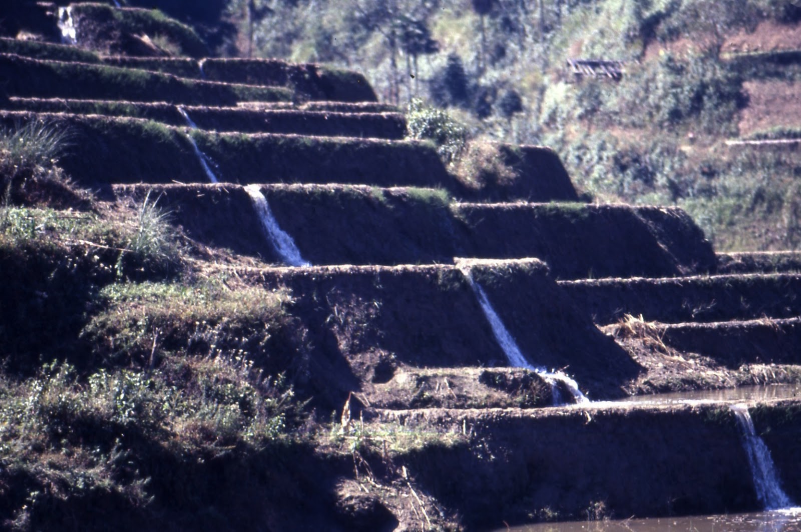 Black Eagle Flights: The official Page of Jim Goodman's Travel Writing ...