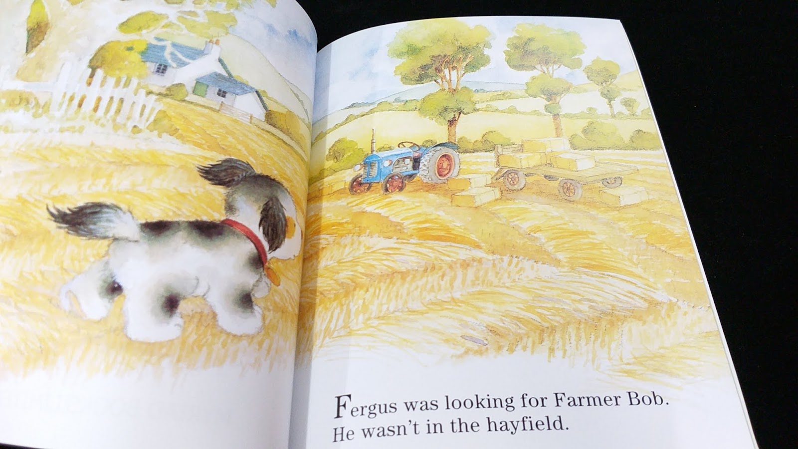 Kid Books Blog: 55.Fergus