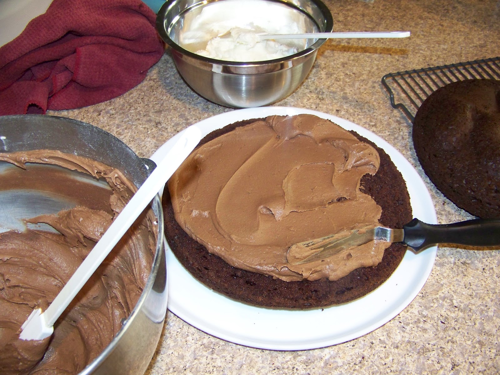 On Stefanie's Crafty Side: Bunny Face Cake