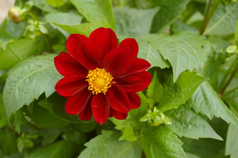 Kolmenimemees: Päevaraamat 17: 11.–20. september