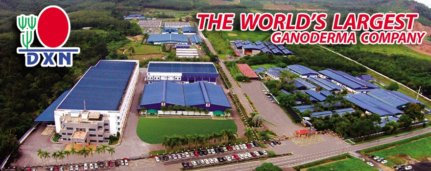 Tecnología DXN de Cultivo y Producción del Ganoderma