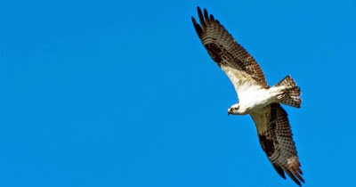 LibreOffice(61)linuxBeanでJavaの例をmake-p--q