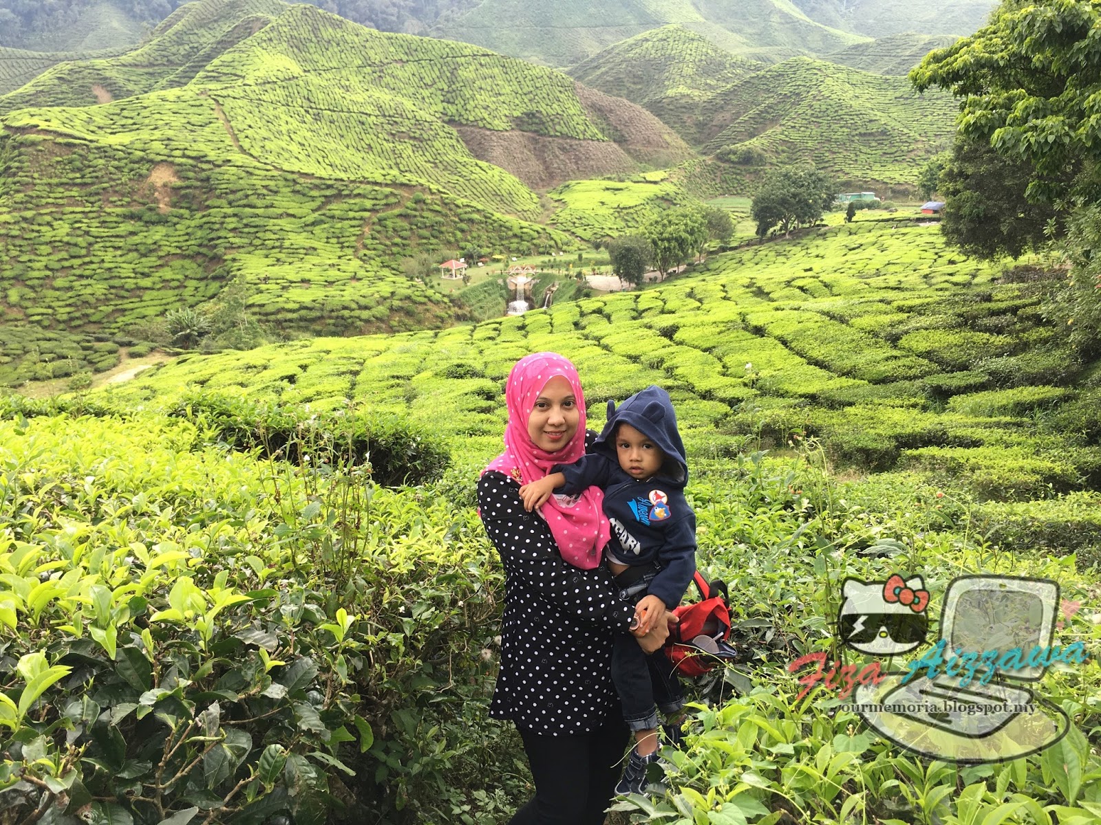 Ladang Teh Cameron Valley Tea tempat wajib dikunjungi