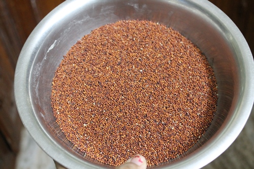 Homemade Sprouted Ragi Powder Recipe (for Babies)