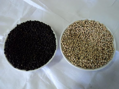 Cara Membuat Lada Hitam dan Lada Putih - Milano Ruus