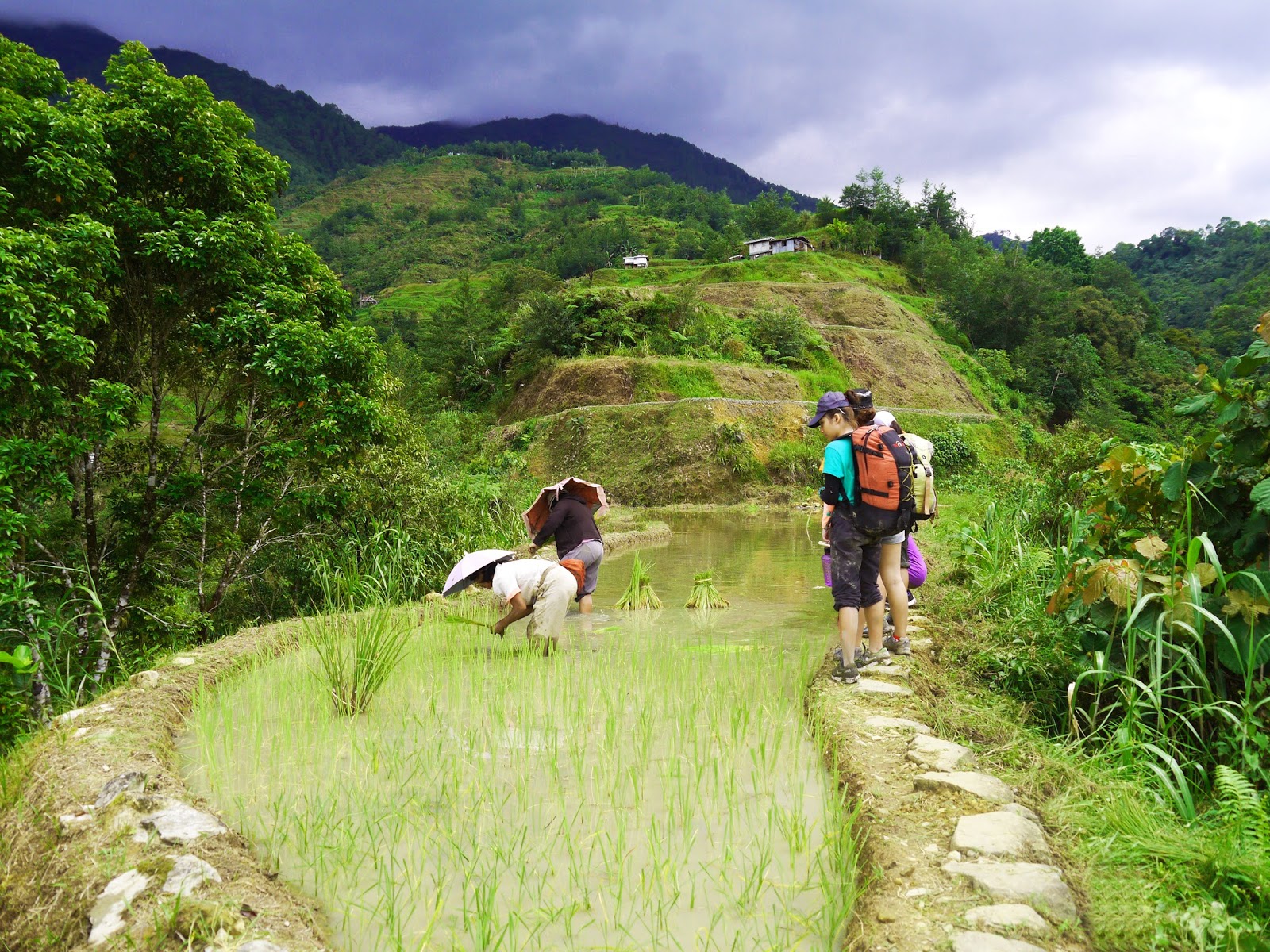 The Warmth of Ifugao
