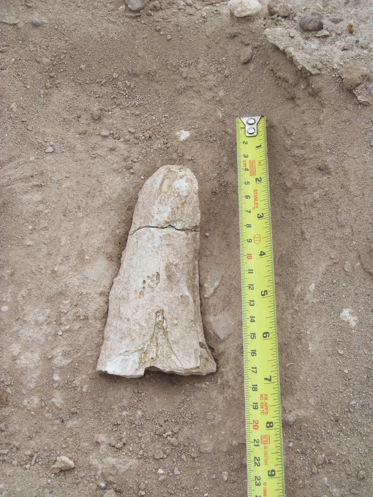 Blogging from the Boot Heel: August 2014