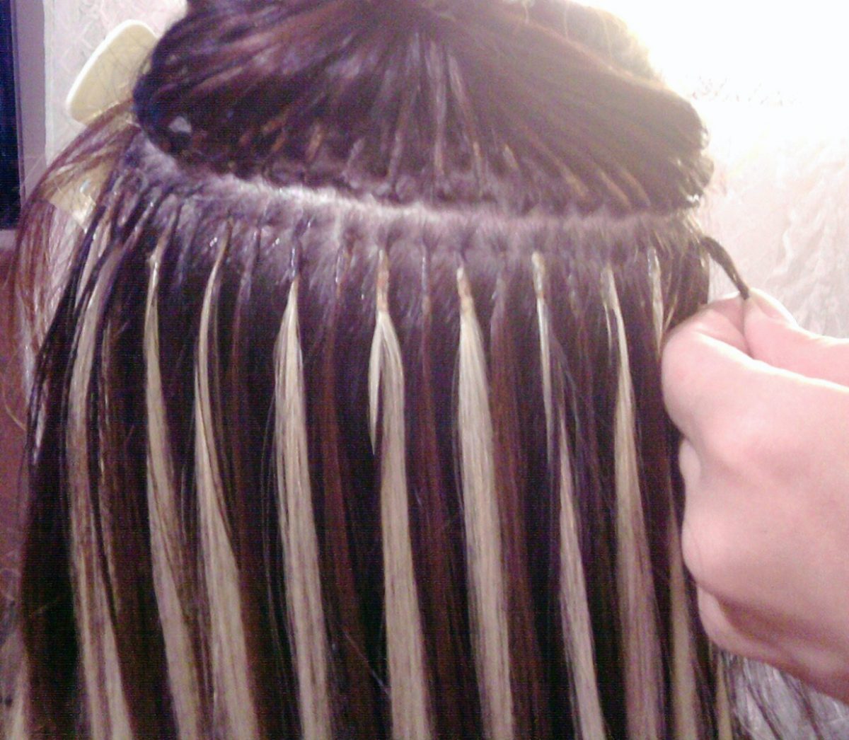 AVIVAR - VITÓRIA - ES - NOVIDADES EM ESTÉTICA AFRO