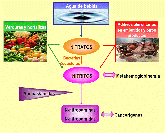 Analises Toxicológicas na Biomedicina