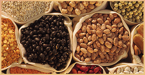 The Steps Involved in Cashew Processing ~ Agriculture The Steps Involved in Cashew Processing ~ Agriculture