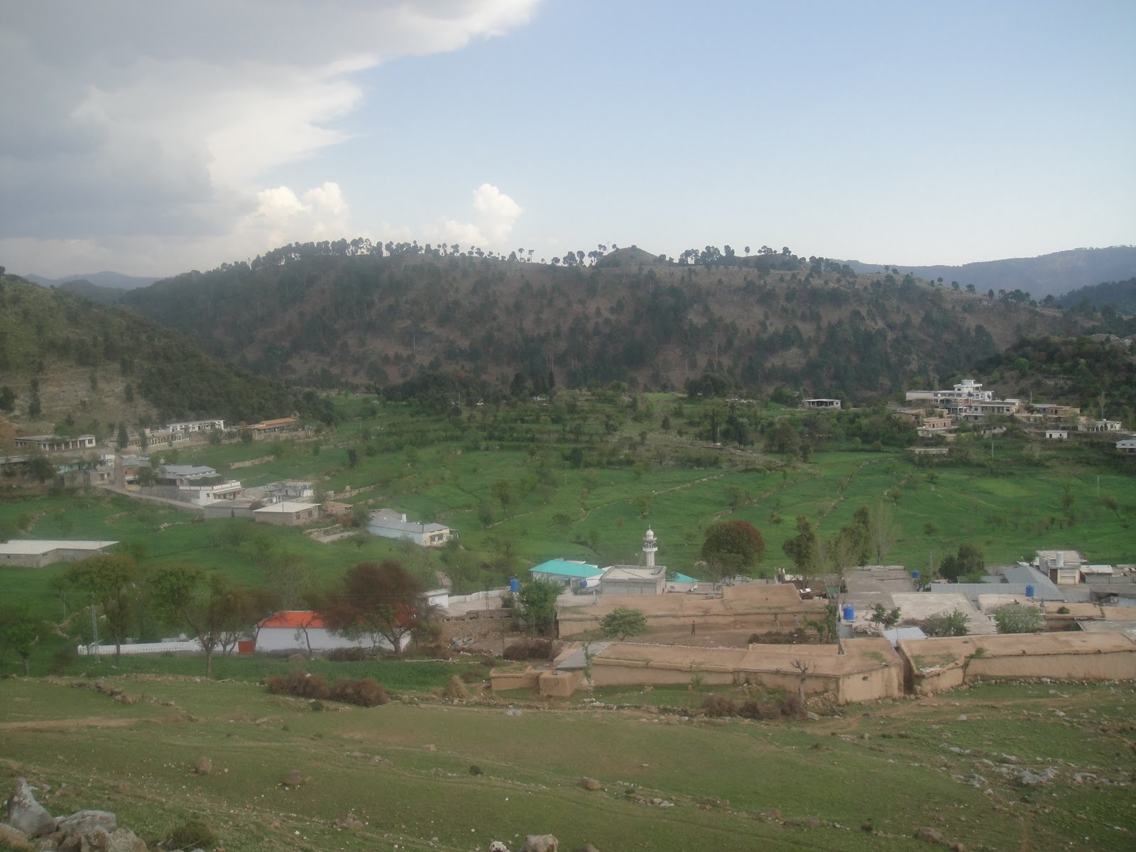 Hazara Haripur Jabri ~ Jabri - Hazara Haribur Jabri KPK