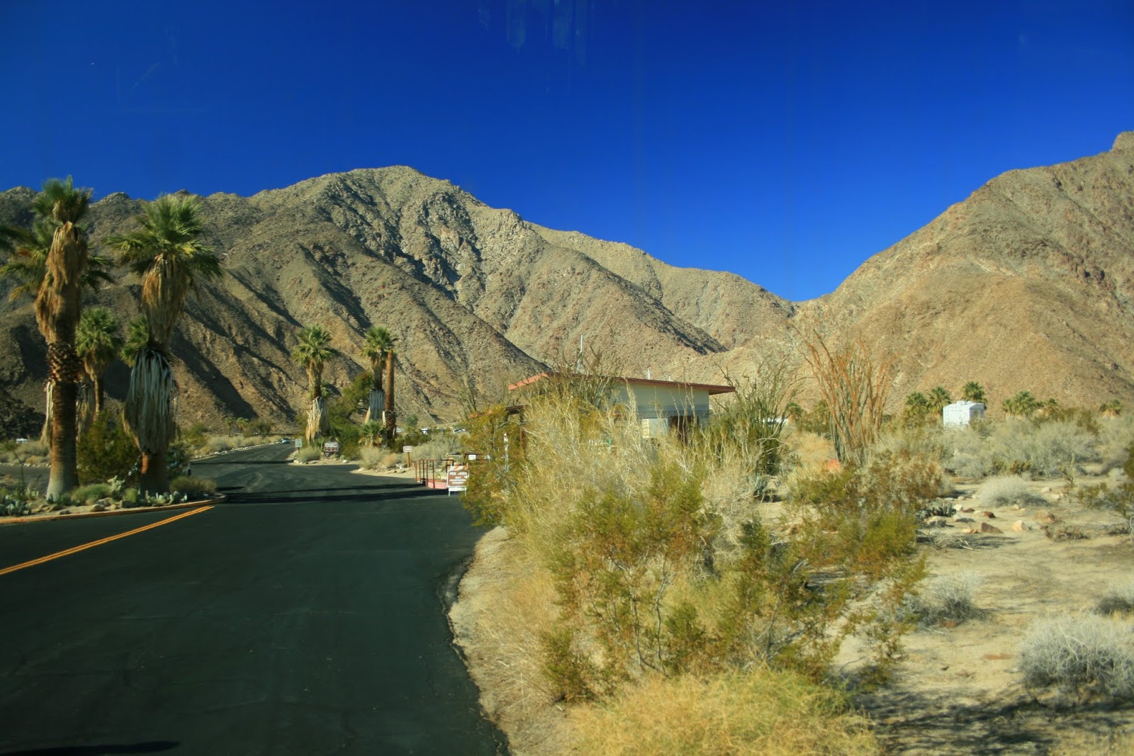 Stillhowlyntravels: Borrego Days...