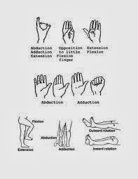 Rom Dalam Keperawatan - Perumperindo.co.id