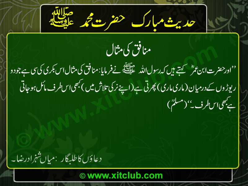 Islamic Information.: ***HADEES-E-PAK****