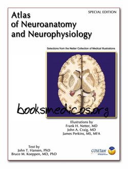 Atlas of Neuroanatomy and Neurophysiology Netter's | booksmedicos