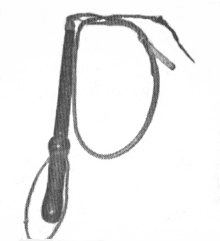 INQUISIÇÃO DO SANTO OFÍCIO DE 1022 À 1859: Açoite