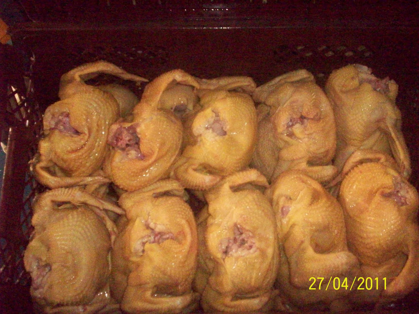 ¡CRIOLLO CRIOLLO! PLANTA PROCESADORA DE POLLO CRIOLLO.