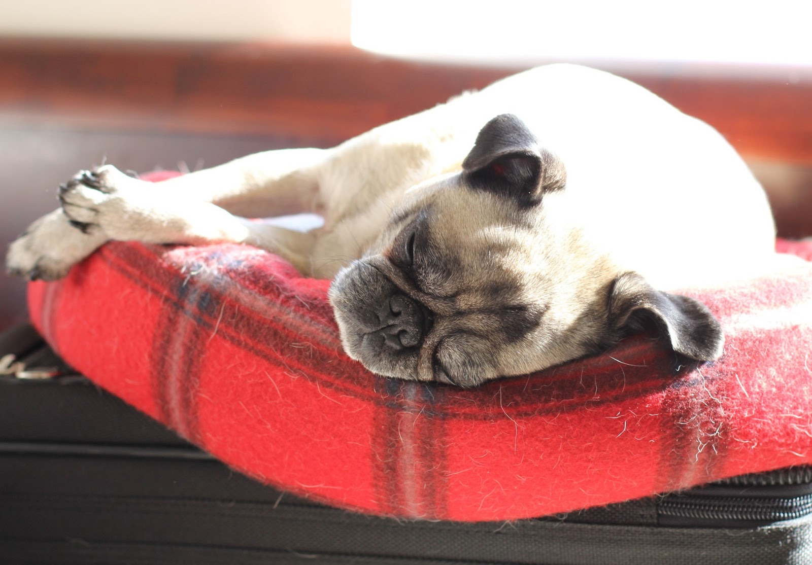 The Macy Dixie Line: Put On the Brakes