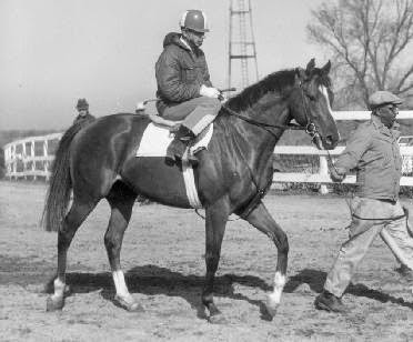 Los Pingos de Todos: Northern Dancer