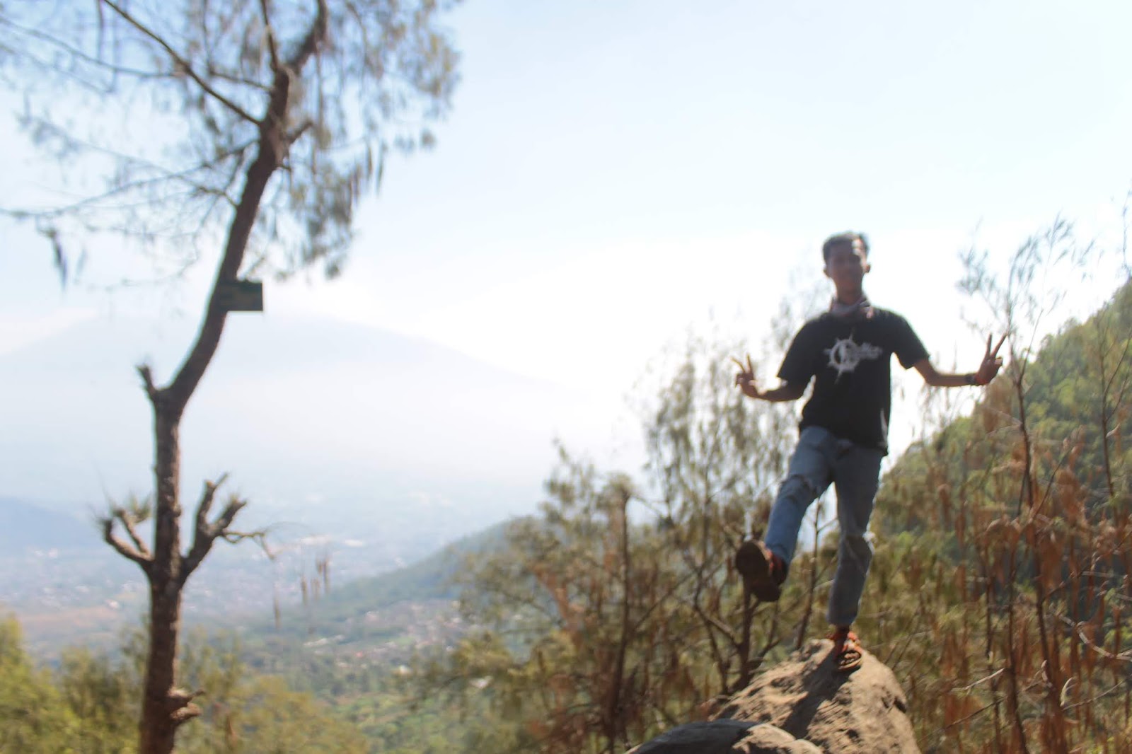 Gunung Panderman Bukit dengan ketinggian 2000MDPL - NOB TRAVELLER