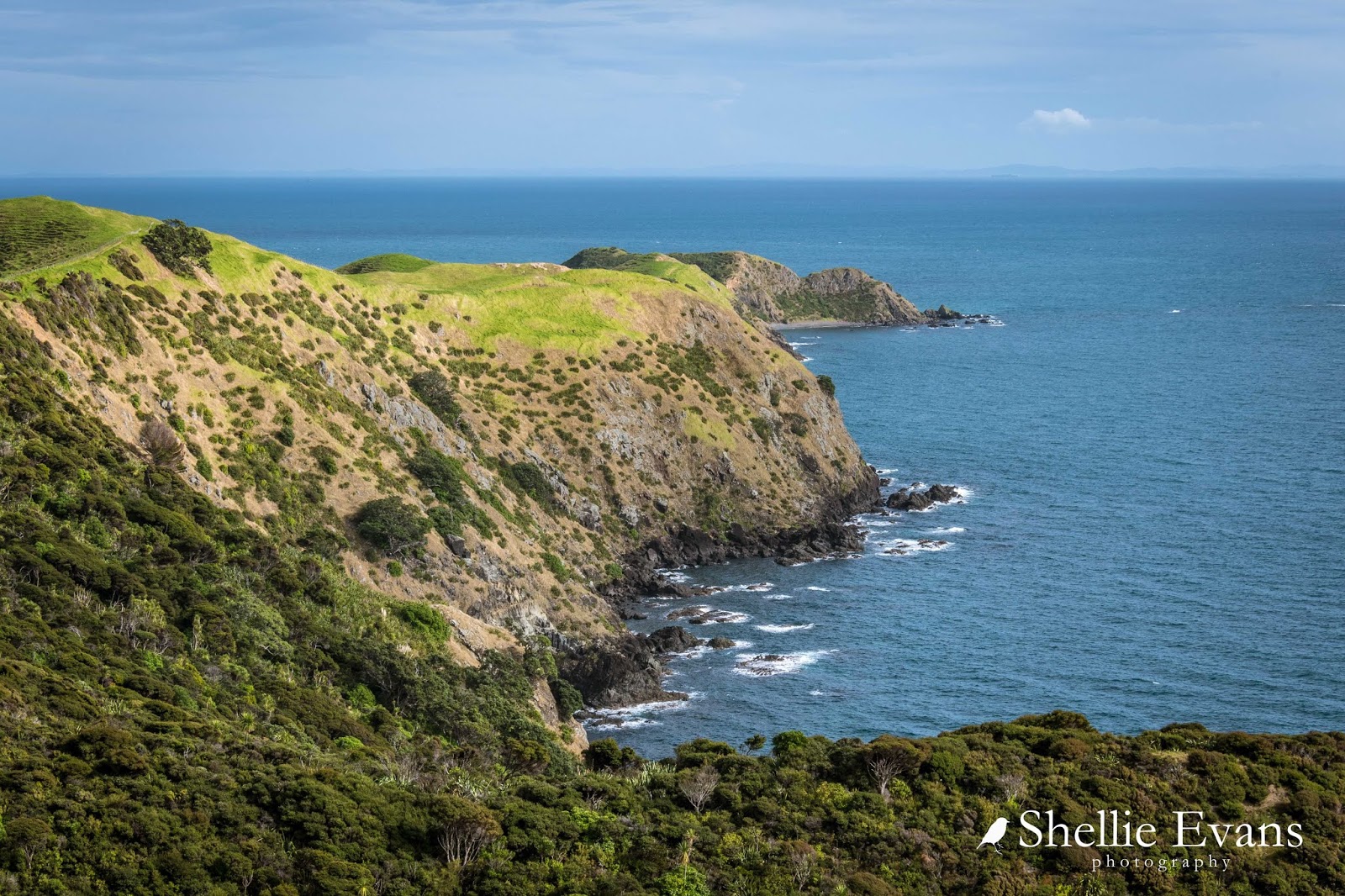 Two Go Tiki Touring: Clifftops & Coastlines- Coromandel
