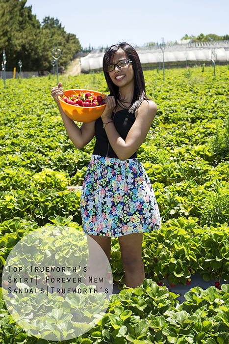 PettyAir: Travel Log| Picking Strawberries at Polkadraai Farm ...