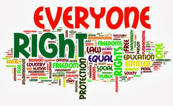 Mich Café: Human Rights: 65 years on