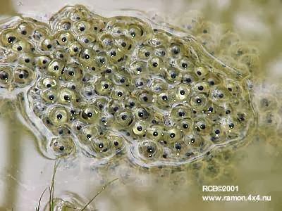 EDUCAR EN UN MUNDO NATURAL, SOCIAL Y CULTURAL