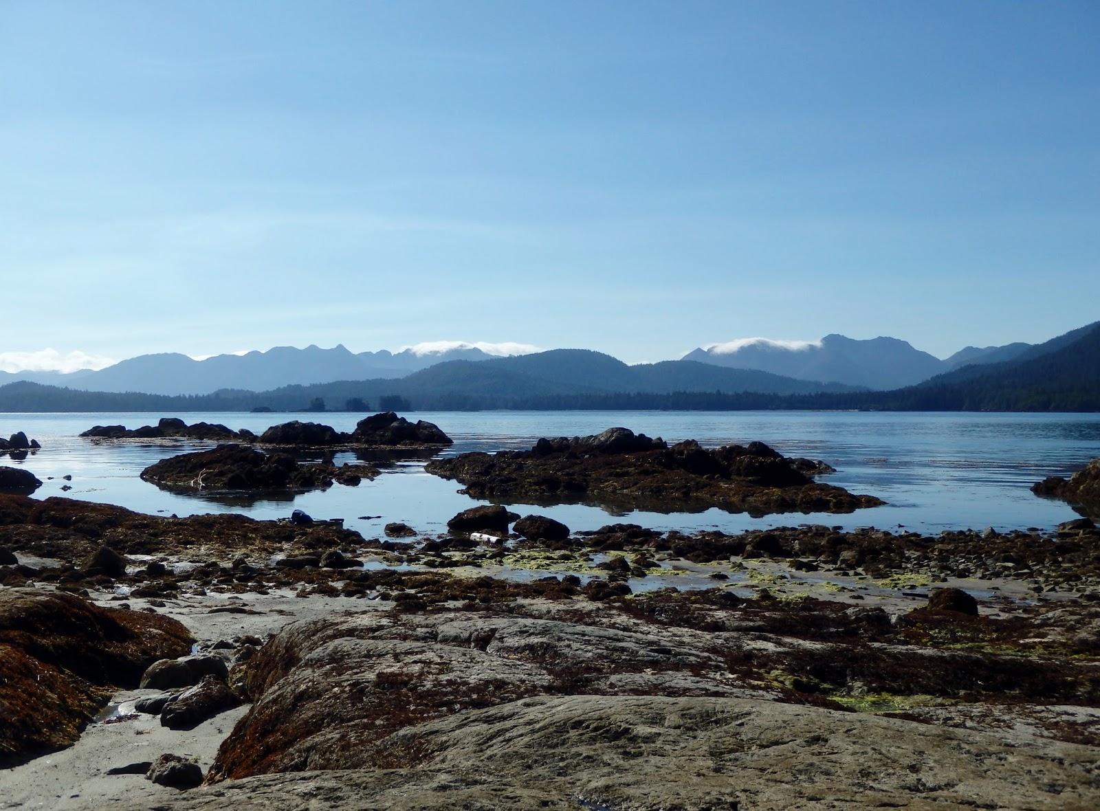 Pacific Northwest Seasons: Vancouver Island Adventures: Kayaking the ...