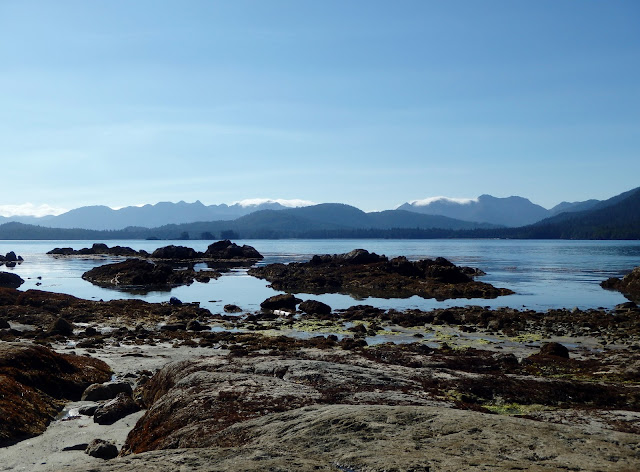 Pacific Northwest Seasons: Vancouver Island Adventures: Kayaking the ...