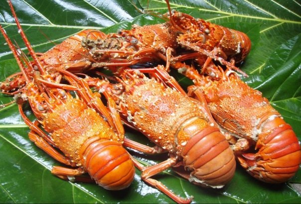 Where to eat in Batanes - The Pinoy Traveler