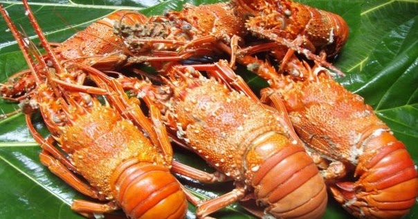 Where to eat in Batanes - The Pinoy Traveler