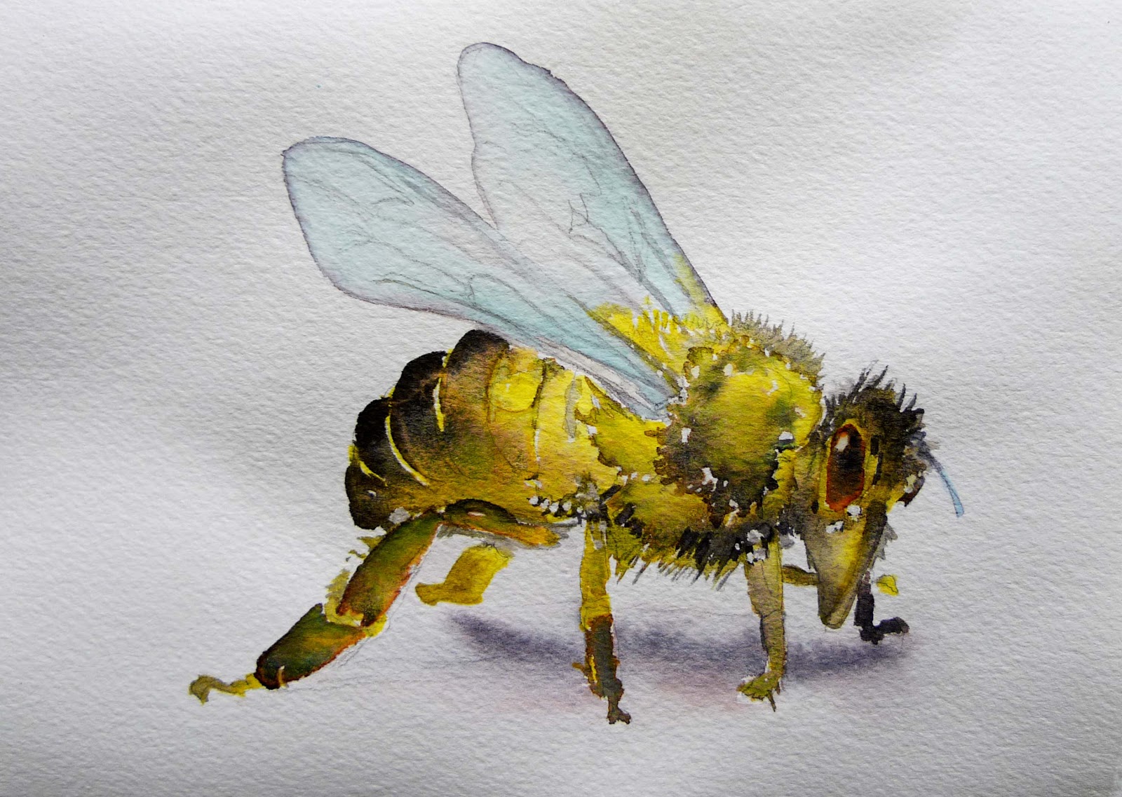 Famous Artists That Paint Insects at Janice Alvares blog