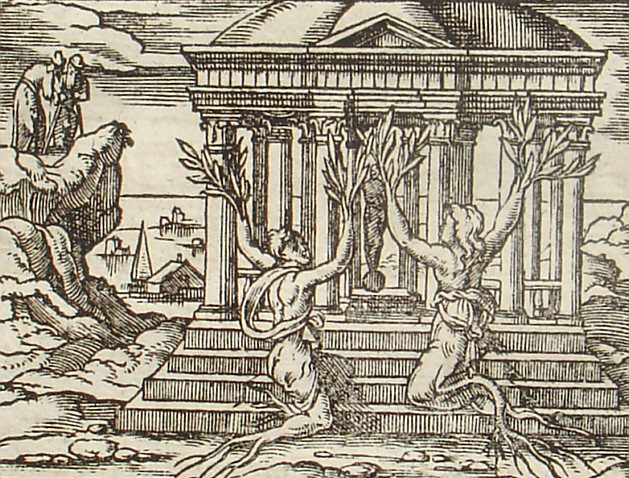 The feeling of knowledge: Baucis and Philemon