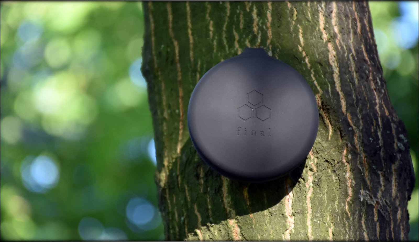 final E5000 - Reviews | Headphone Reviews and Discussion - Head-Fi.org