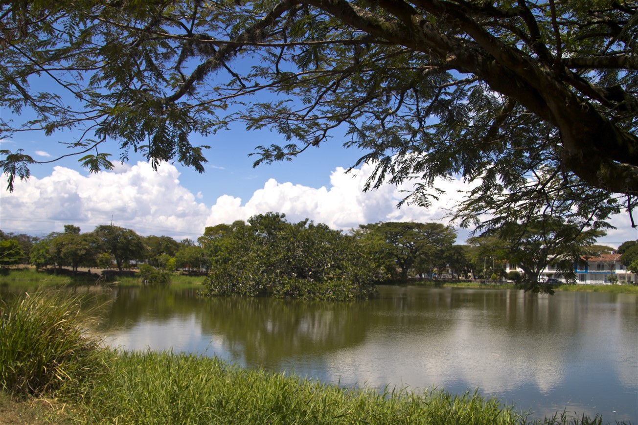 Souvenir Photo Studio, by Al Bourassa: Sunday Jan 27, 2019 Lago Chilicote
